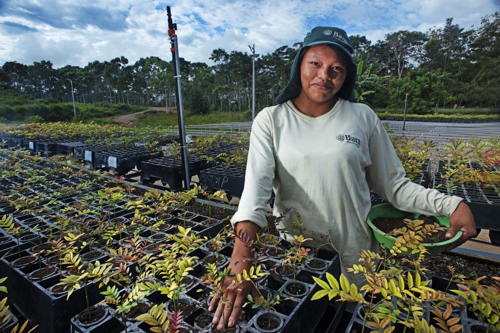 Peru’s native species: an urgent biological wealth to preserve – BAM