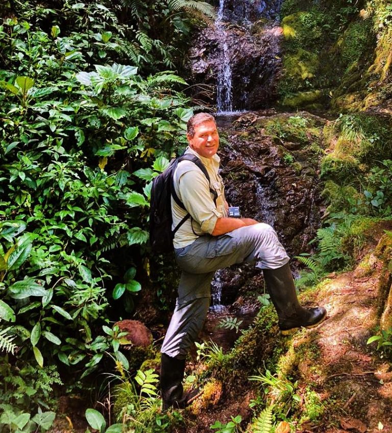 Scinax pyroinguinis: new frog species for science found in BAM’s ...