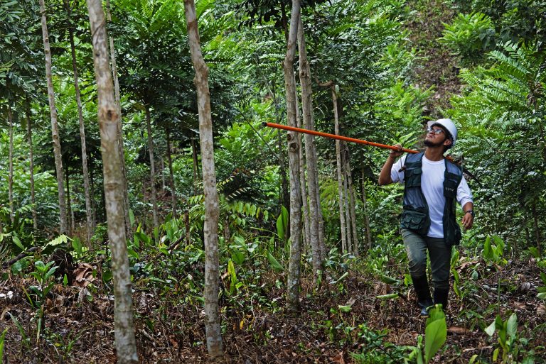 Peru’s native species: an urgent biological wealth to preserve – BAM